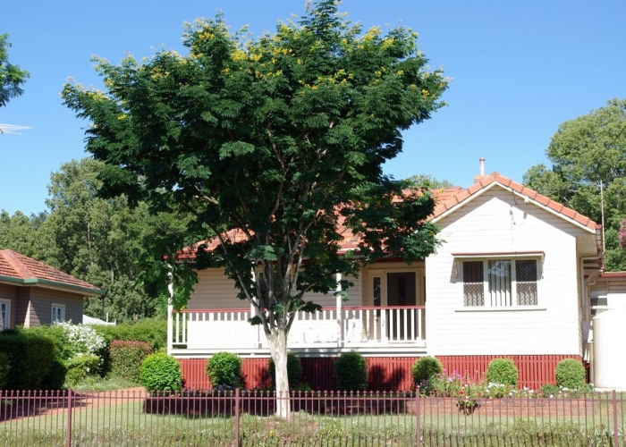 Toowoomba Tree Farms