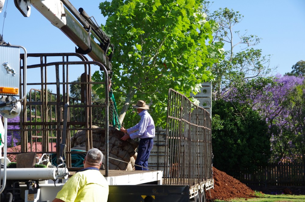 Gallery | Toowoomba Tree Farms